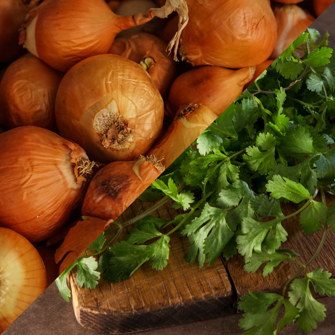 Cilantro & Roasted Onion Infused Olive Oil | Arbosana Olive Oil